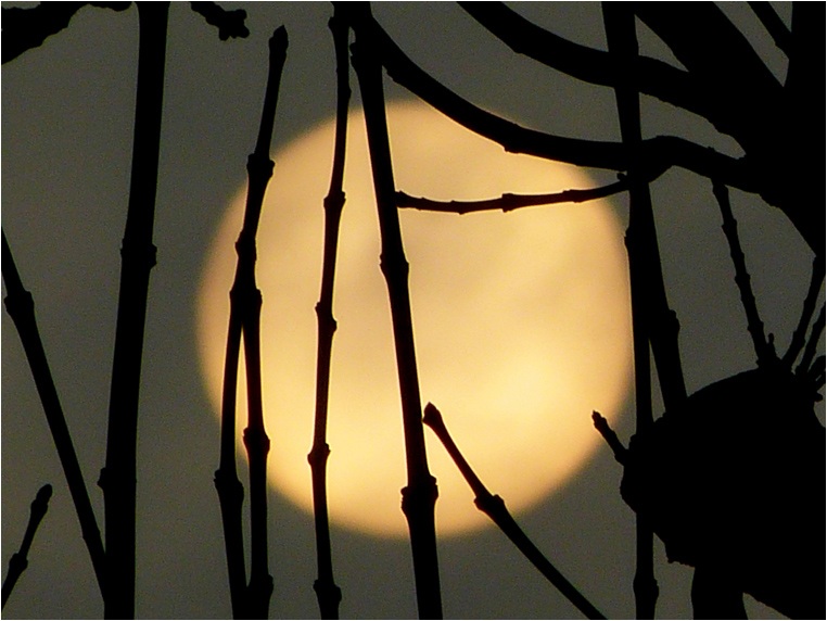 The Best Photos of the Day: April 11, 2013