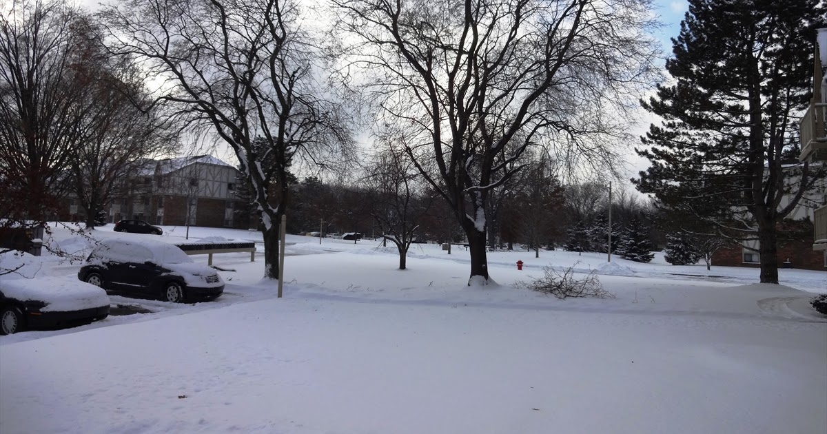 Detroit Snowfall - Exploring My Life