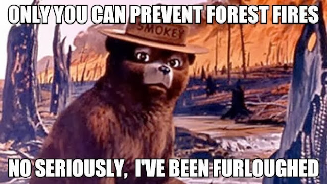 Fishermagical Thought: Only YOU Can Prevent Forest Fires....