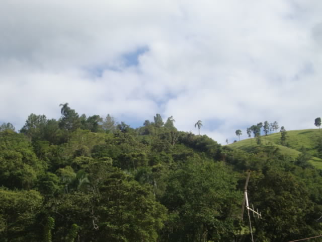 Juncalito, Tierra del Café: Ven a disfrutar de nuestros hermosos Rios ...