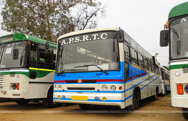 LOVE of Z: New Proto EXPRESS Buses
