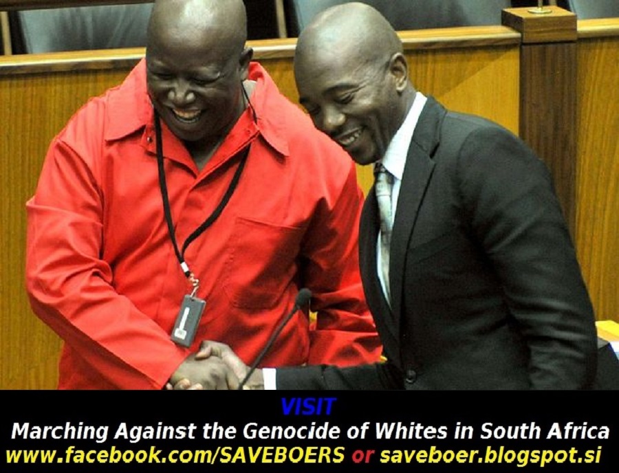 The Difference Between DA, ANC, and EFF !!? What Exactly is It or Is ...