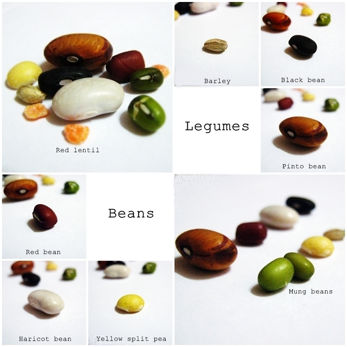 Story of Lynn: Beans & Legumes