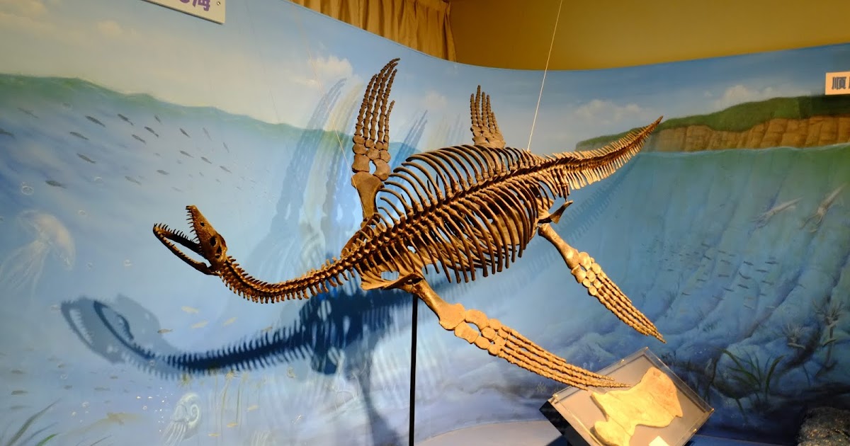 Variety of Life: Plesiosauroidea