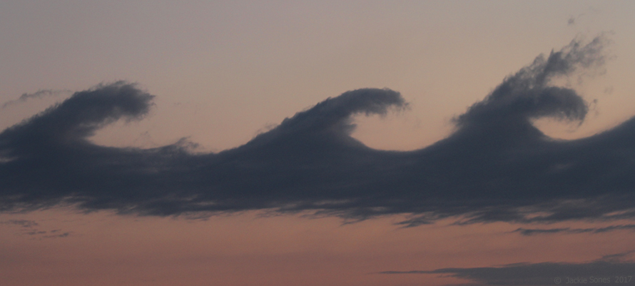 The Natural History of Bodega Head: Cloud waves and a peach moon