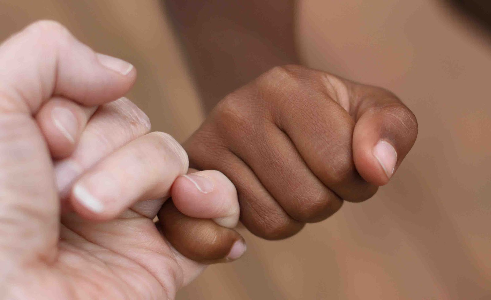 FAMILY FROM AFAR: PINKY SQUARE