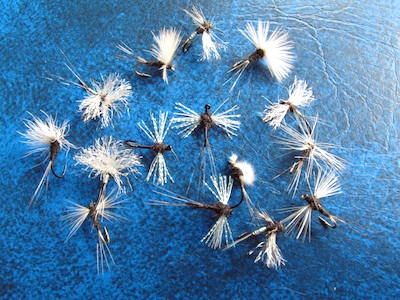 Black Hills Fly Fishing: Trico Time