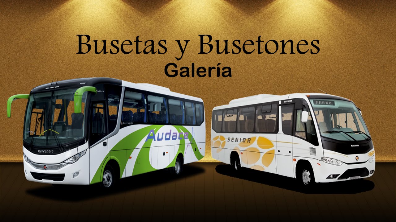 Buses de Colombia - Oficial