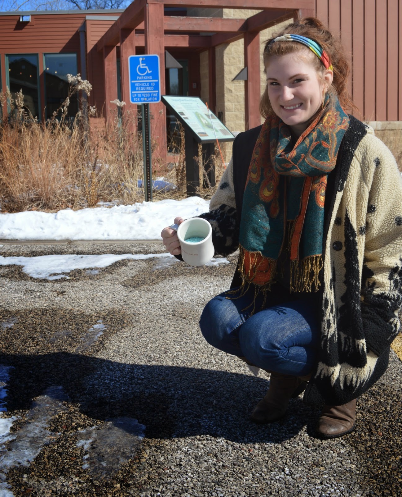 The Ripple Effect: The Impact of Applying Salt on our Streets