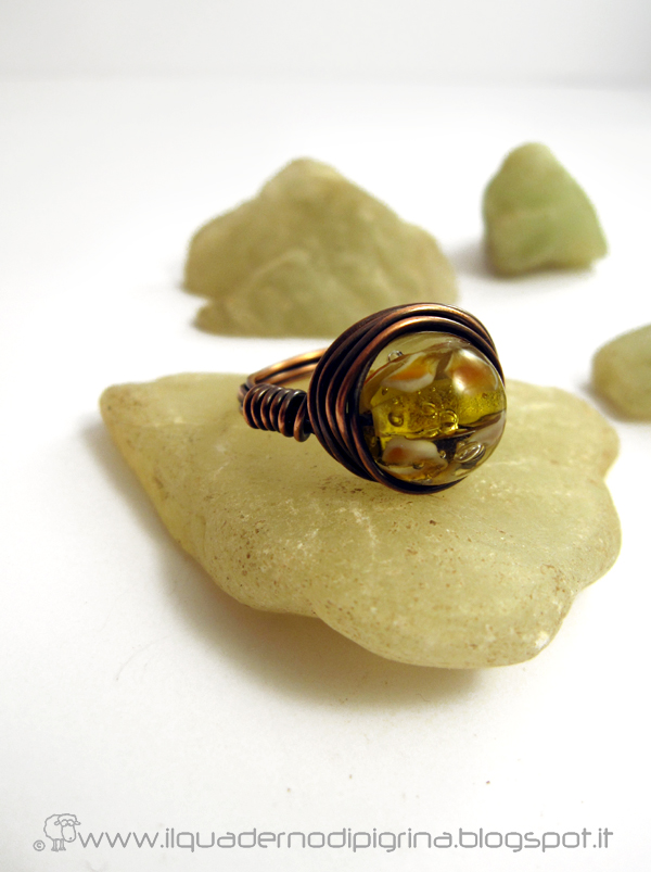 Il Quaderno di Pigrina: Anelli ed Anelle!