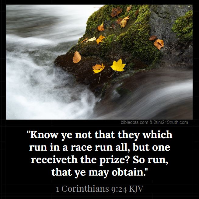 2 Timothy 2:15 Truth: Verse of the Day: 1 Corinthians 9:24 KJV