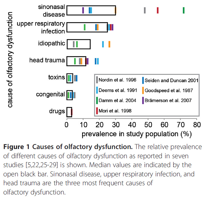 The Neurocritic: September 2013