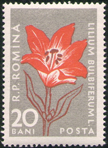 Timbre filatelice: Timbre filatelice cu flori din muntii Carpati
