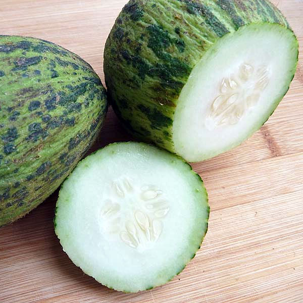 Kelek nedir? Kelek çıkmak ne demektir? Anlamı - Laf Sözlük