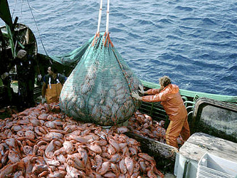 El desarrollo de la pesca en Venezuela