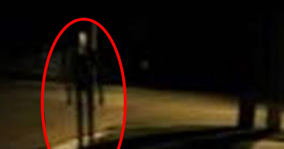 5 Unknown Creatures Caught On Camera & Spotted In Real Life!