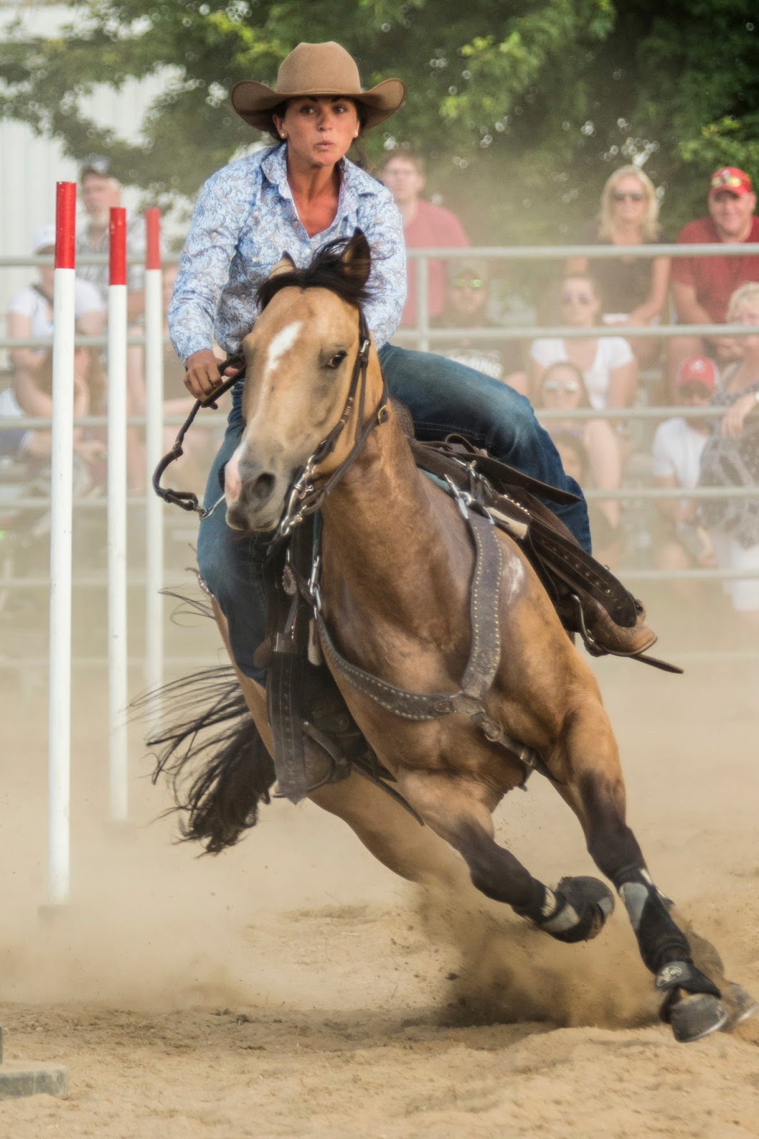 RODEO 101 - The RAM Rodeo Tour