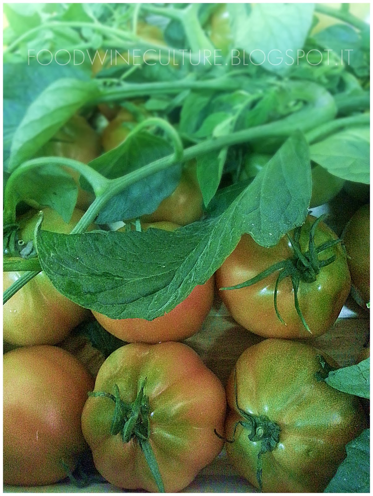 Food Wine & Culture: Ortofrutticola di Schenone - Rapallo