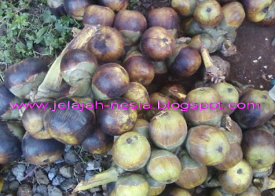 Nikmat dan Segarnya Es Dawet Siwalan | Atep Blog