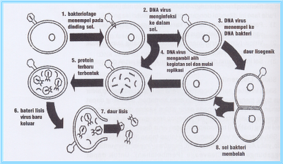 Yukk BELAJAR TENTANG VIRUS !!! | Bukan Sekedar Materi