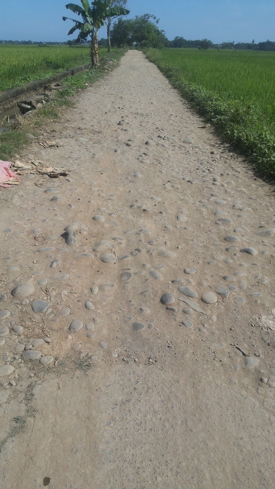 Jalanan Bebatuan Dan Berkubang Besar, Warga Tuntut Perhatian Bupati ...