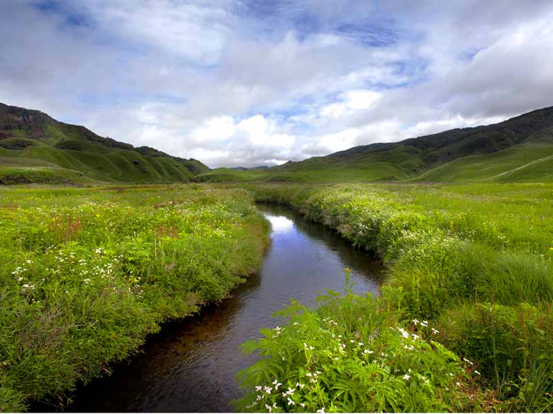 Amazing North East: The Dzukou Valley
