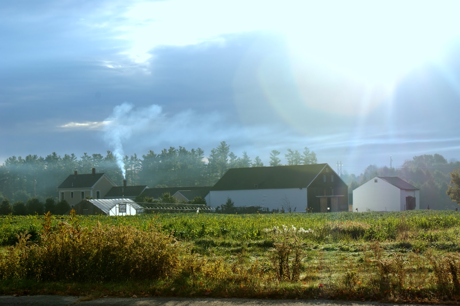 Broadturn Farm: Introducing: The Long Barn!