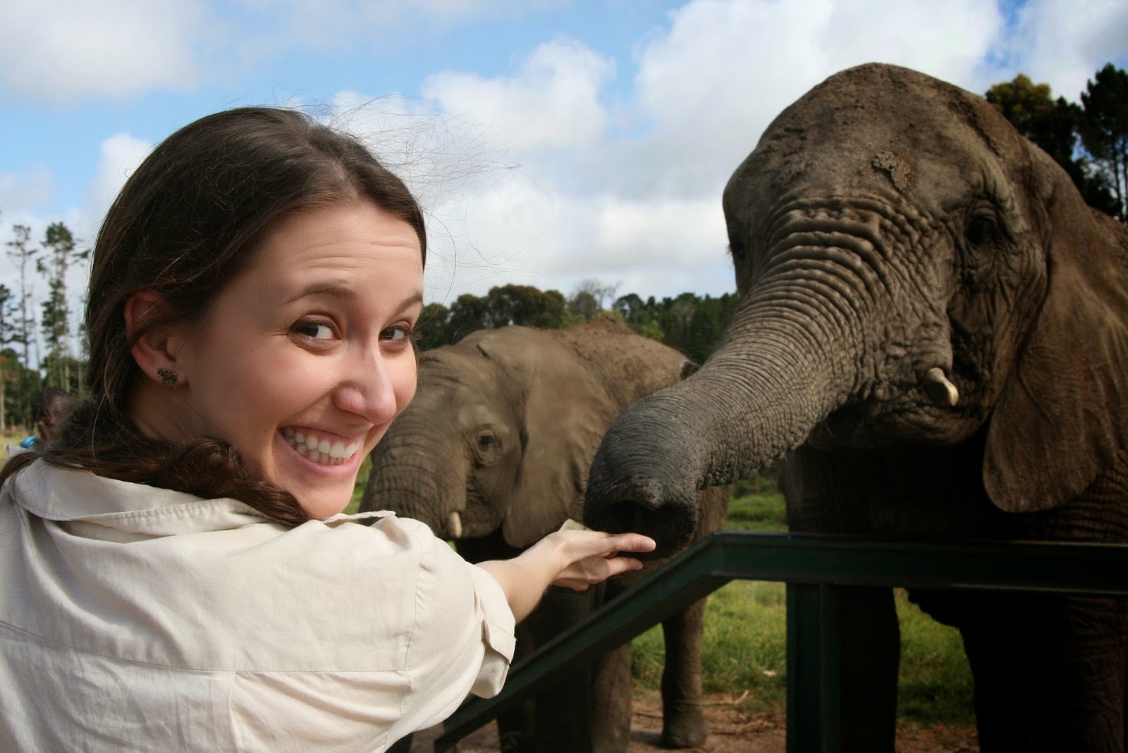 Gumption: The Elephant Sanctuary - Us