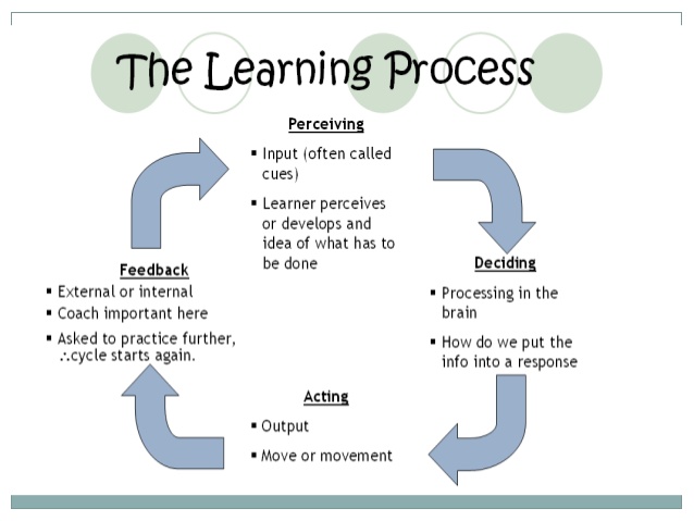 Growth Mindset & Feedback Cats: Learning Process