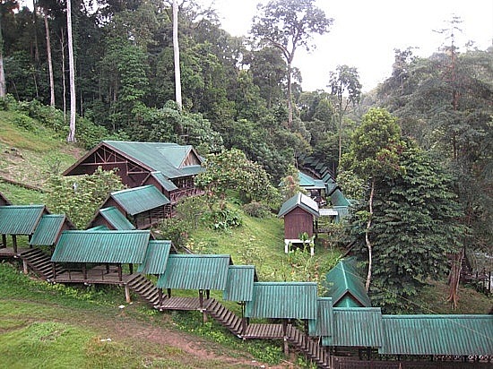 WELCOME TO A KINGDOM OF UNEXPECTED TREASURES, BRUNEI DARUSSALAM ...