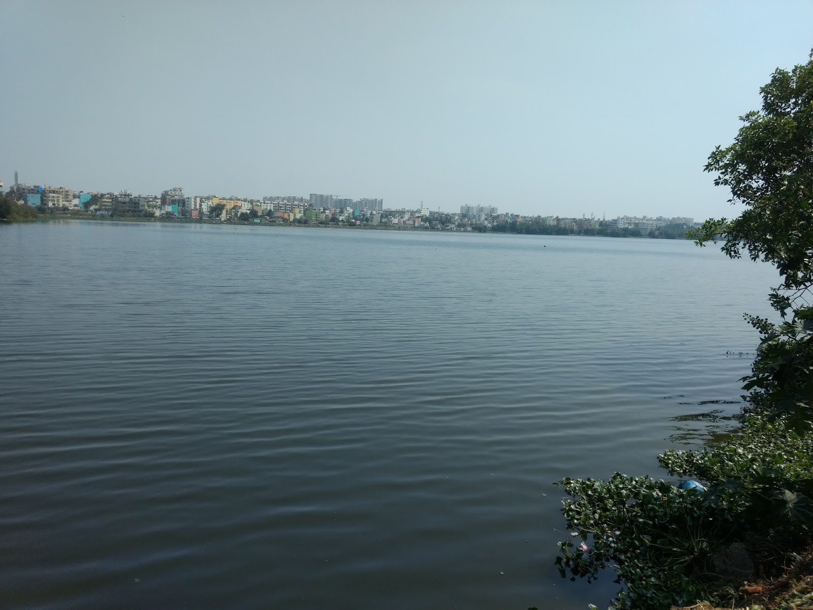 Madiwala lake - Bengaluru lovers spot