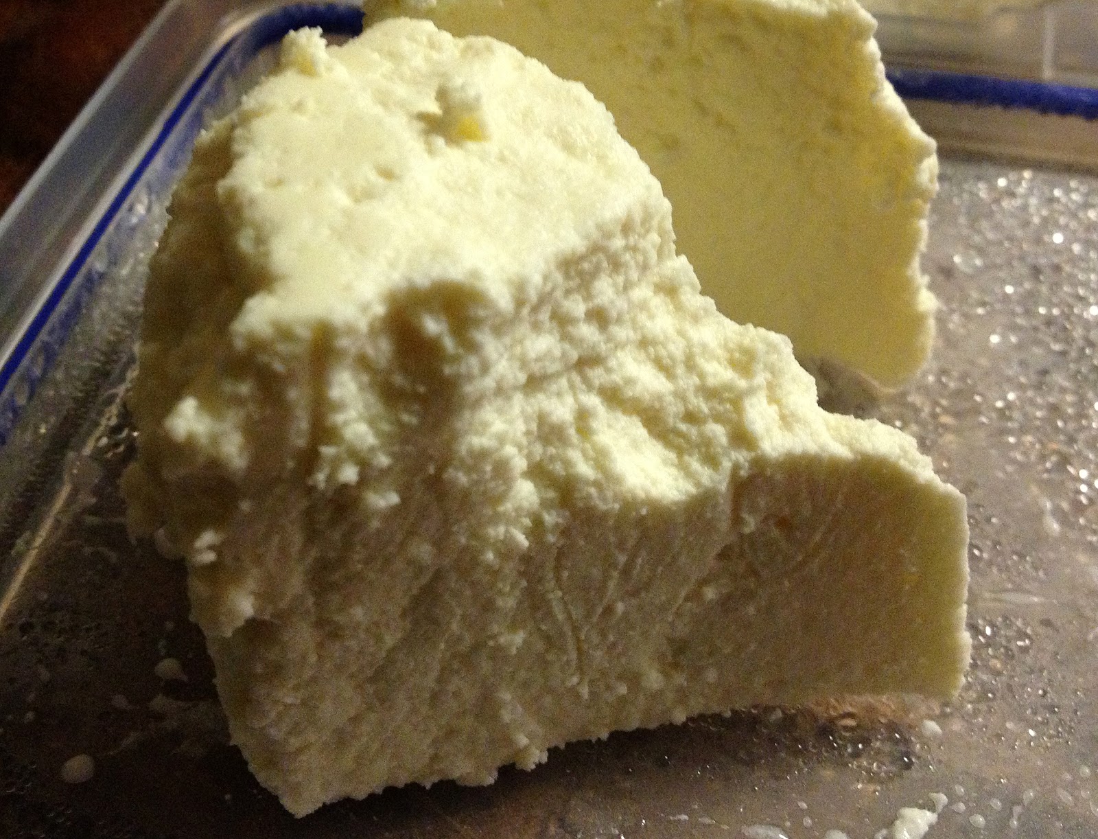 Mozzarella and Ricotta Workshop - The Greening of Gavin