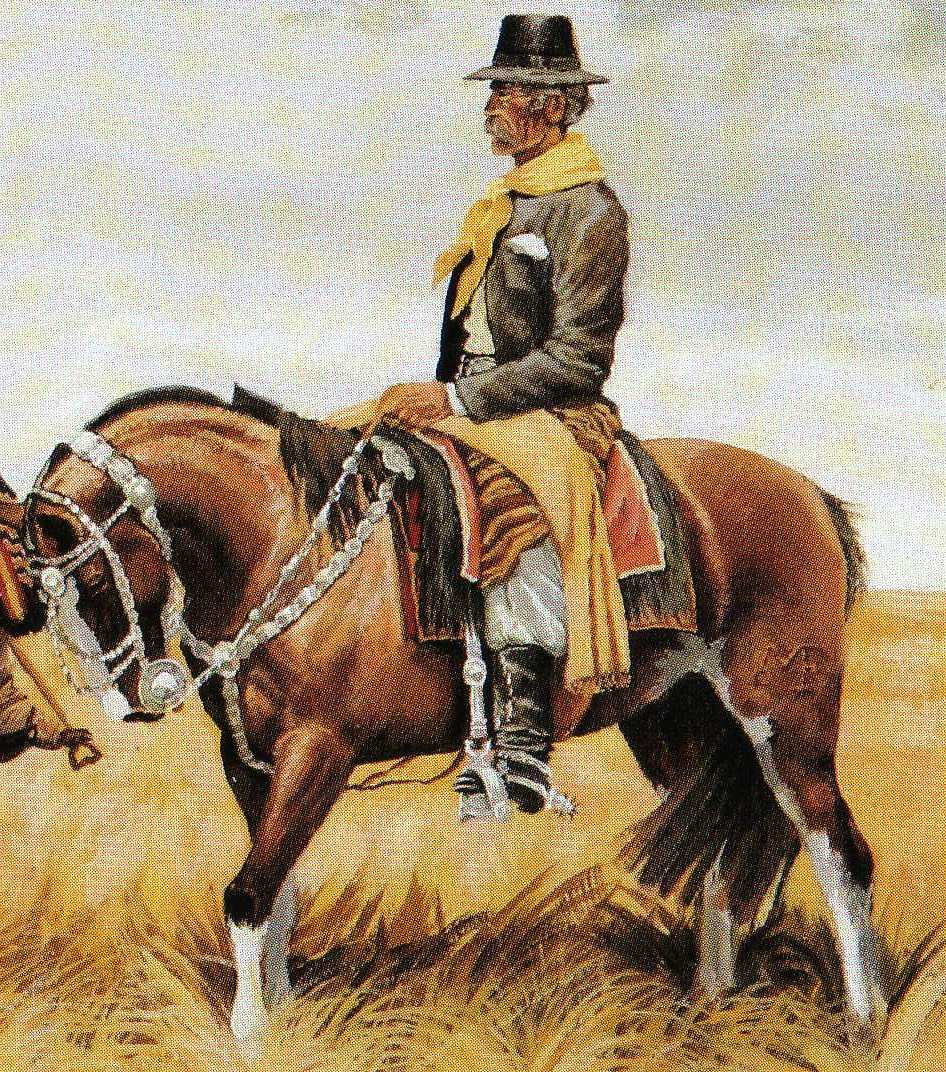 El Gaucho Martin Fierro