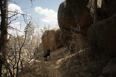 A Day In the Life Of: Fat Man's Loop, Flagstaff, AZ