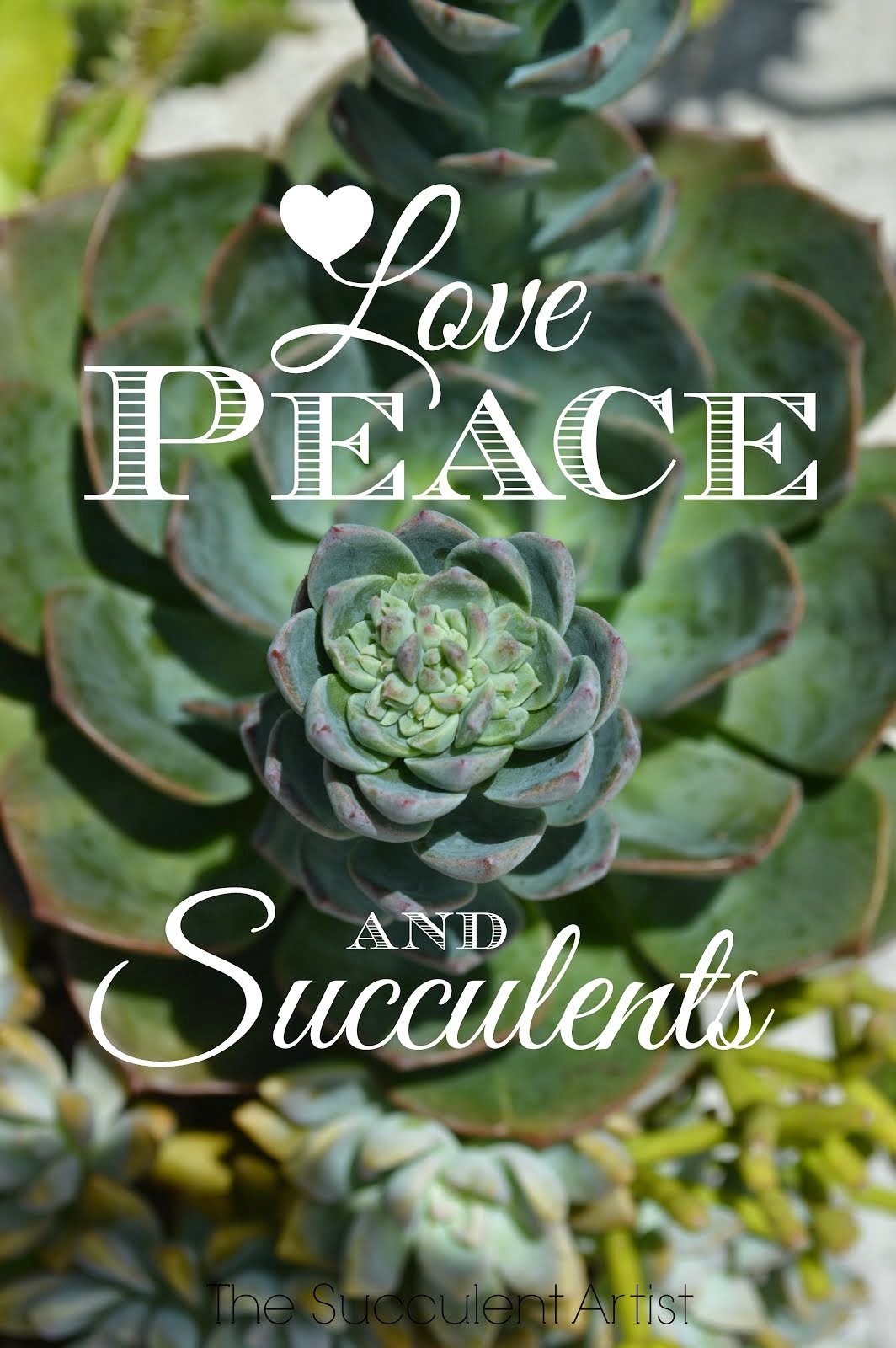 The Succulent Artist