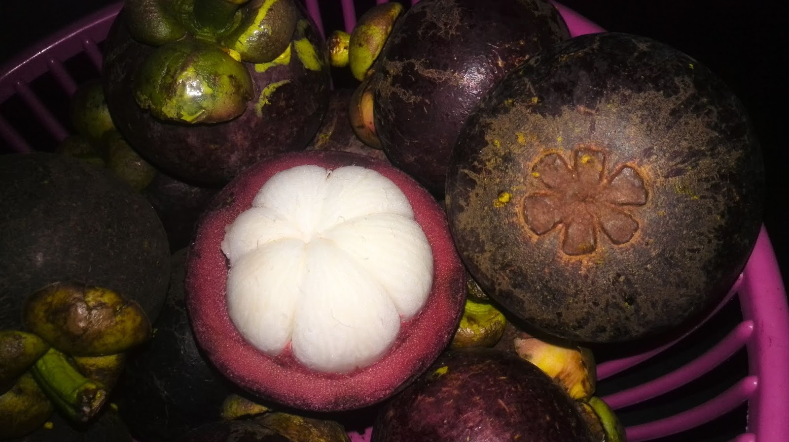 namakucella: BUAH MANGGIS