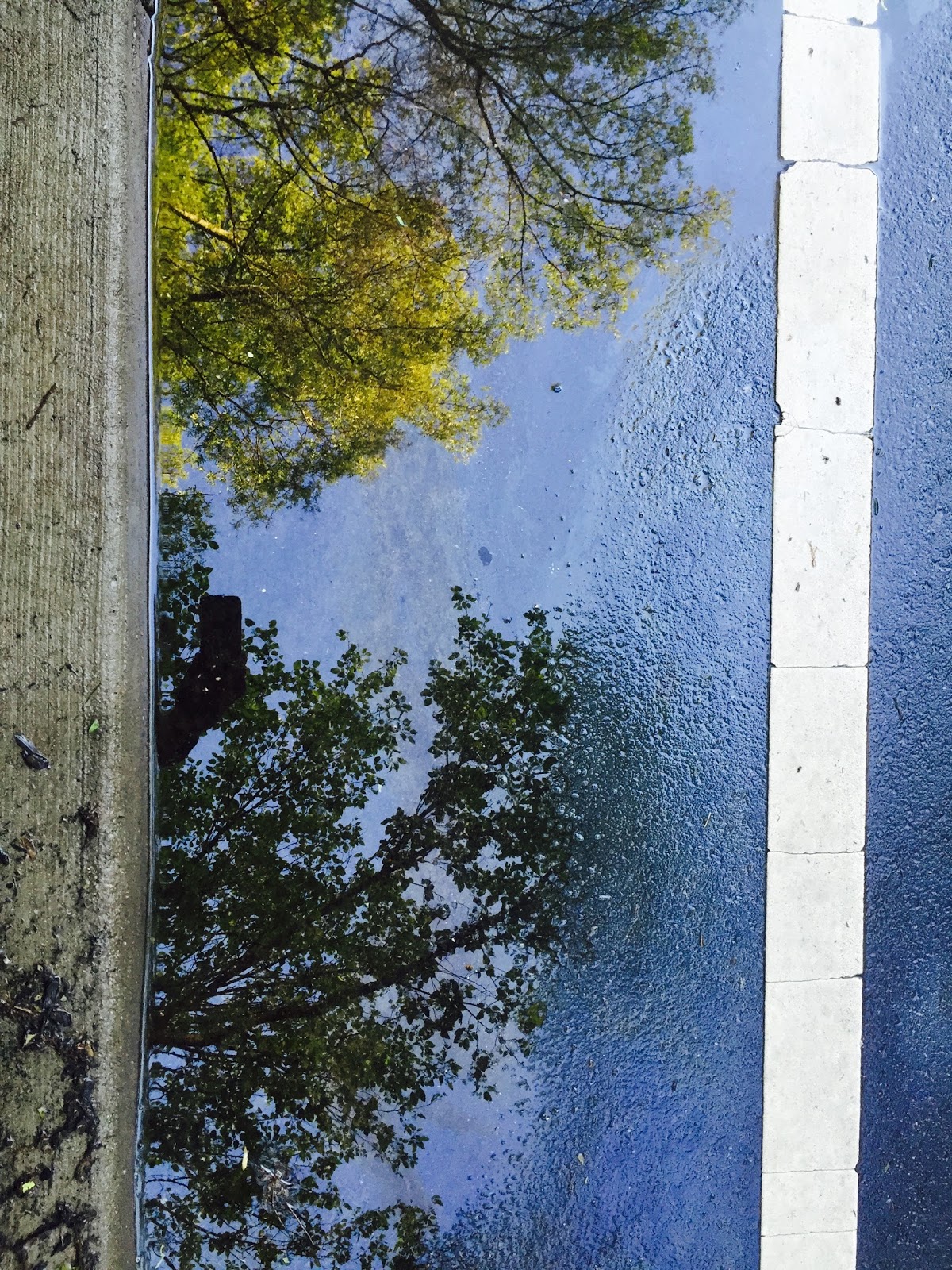 fieldwork: Eight ways of looking at a landscape