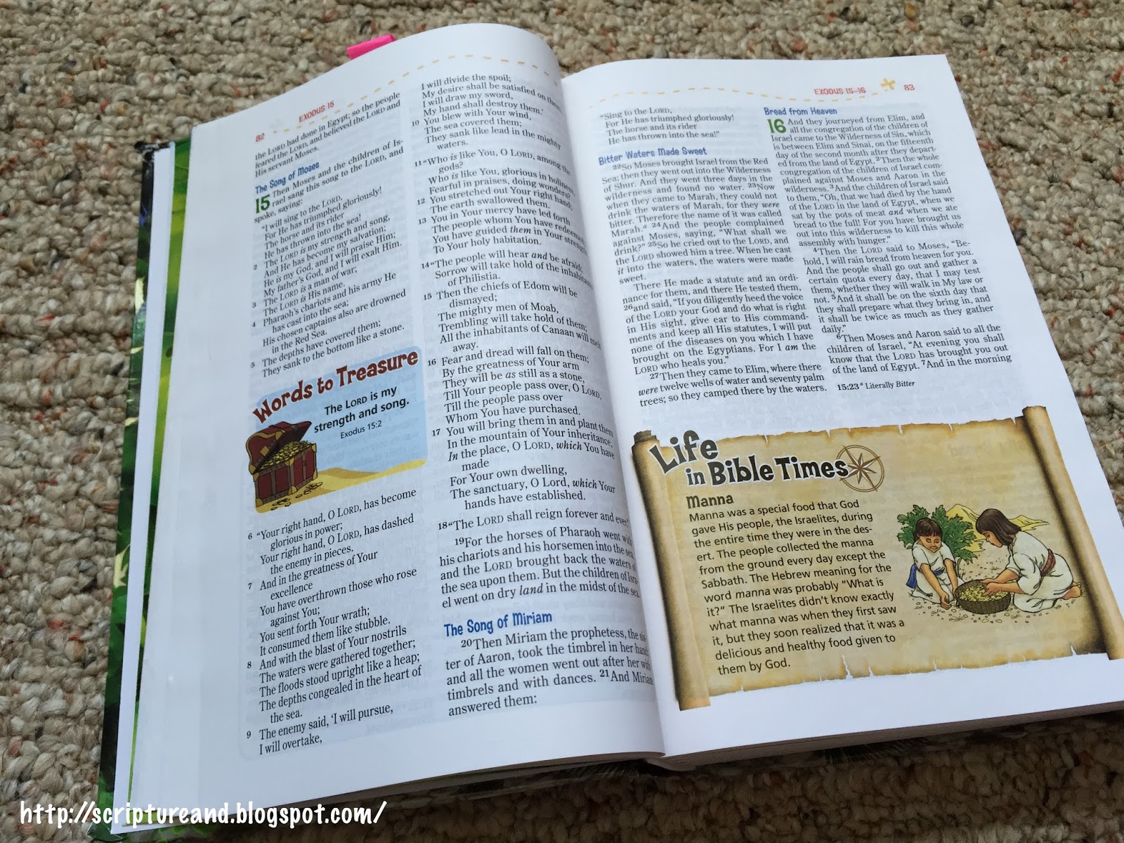 A Review of NKJV Adventure Bible