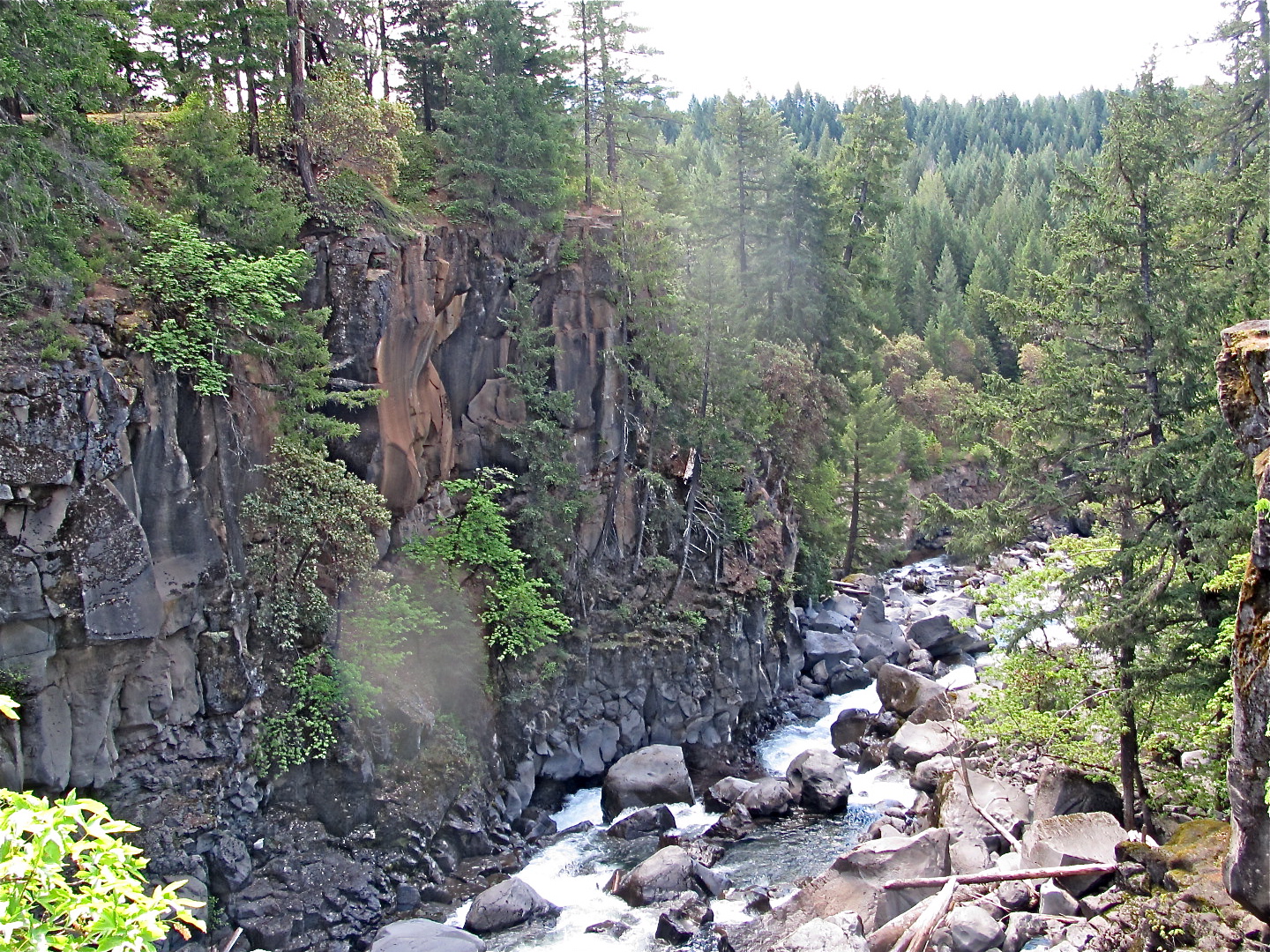 Travel With Whippets: Hiking along the Rogue River, Oregon