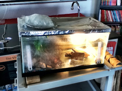 Questioning Science: Water, Water Everywhere...