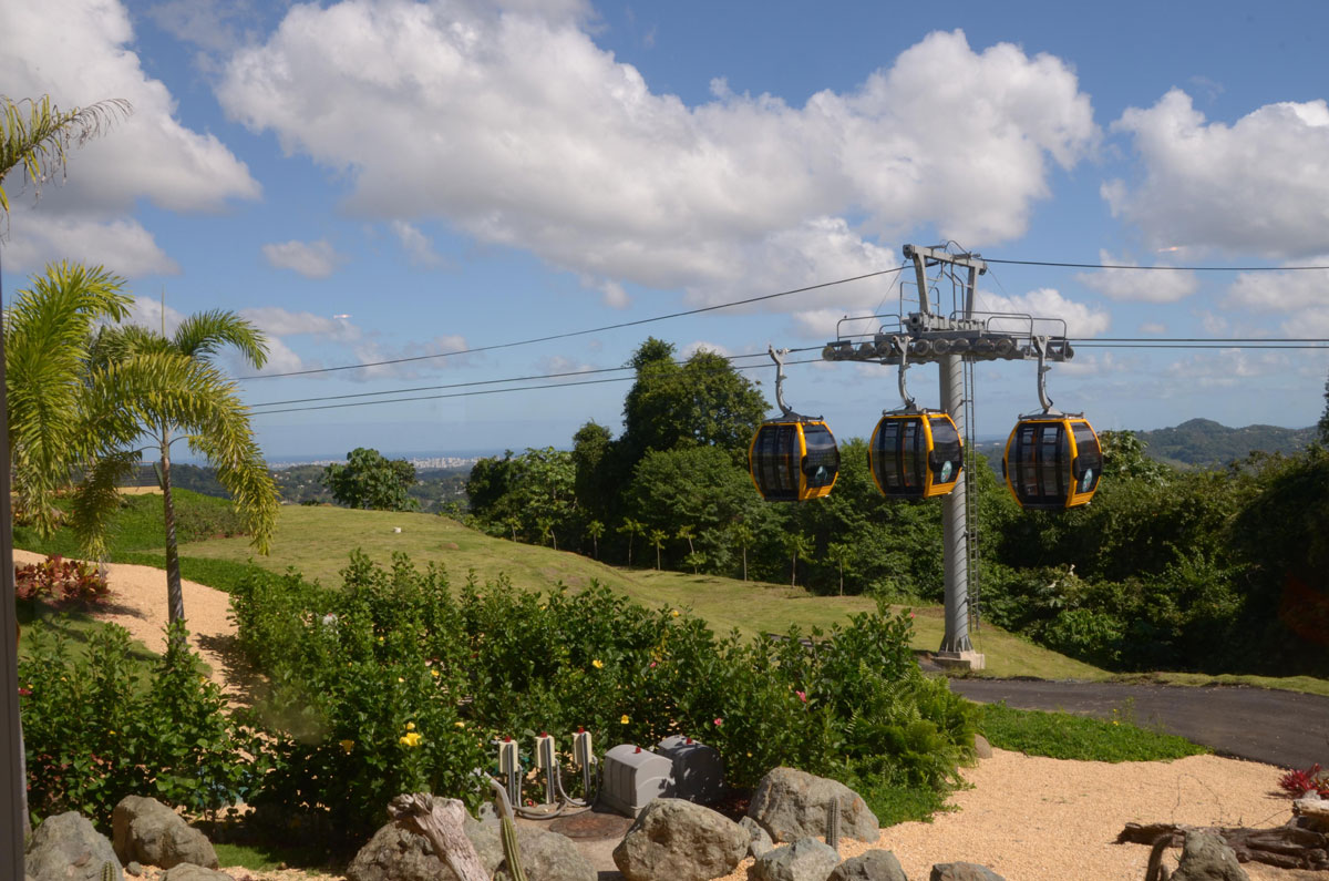 Los Bosques en Puerto Rico: mayo 2016