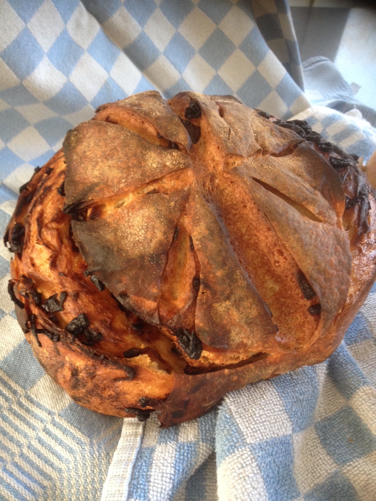 Bake My Day!: Bread Baking Babes: Cutting edge bread for our 8th ...