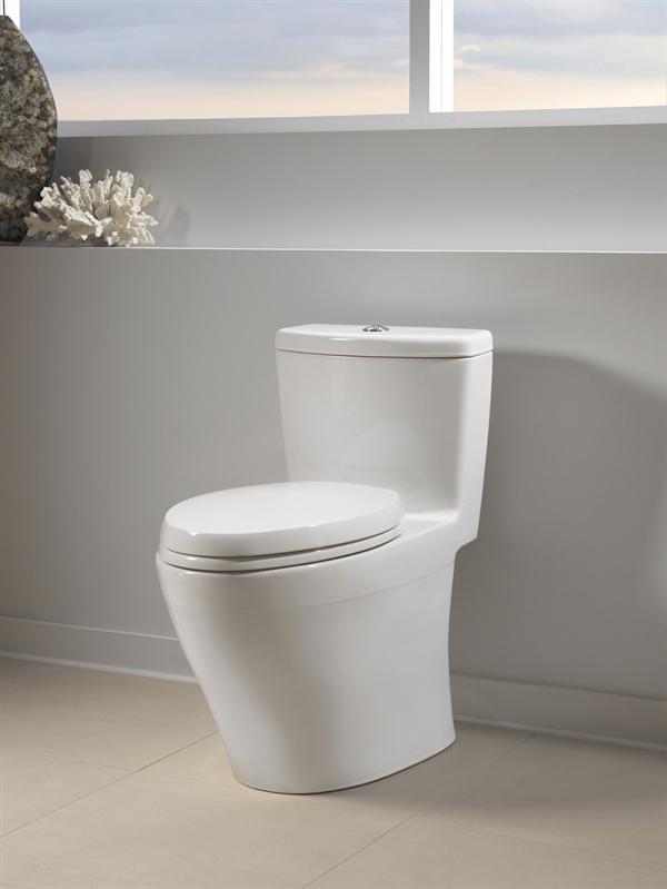 Bathroom Vanities blog: TOP THINGS TO CONSIDER WHEN BUYING A TOILET
