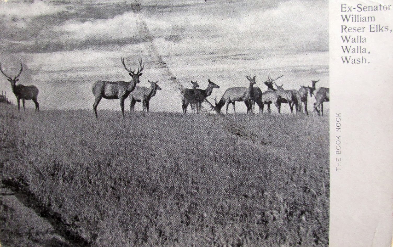 Bygone Walla Walla: vintage images of the City and County, collected by ...