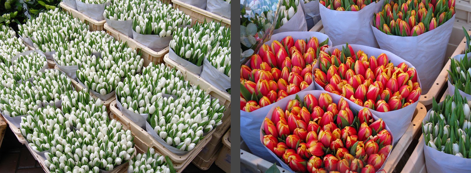 Walking Stockholm: Travels Continued 2