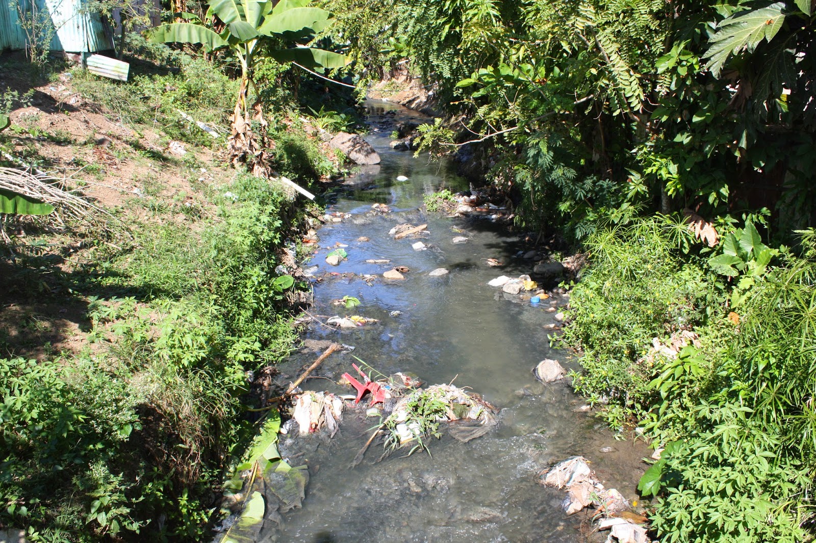 ATACANDODIGITAL.COM |: Por la contaminación se mueren los ríos Soco y Seibo