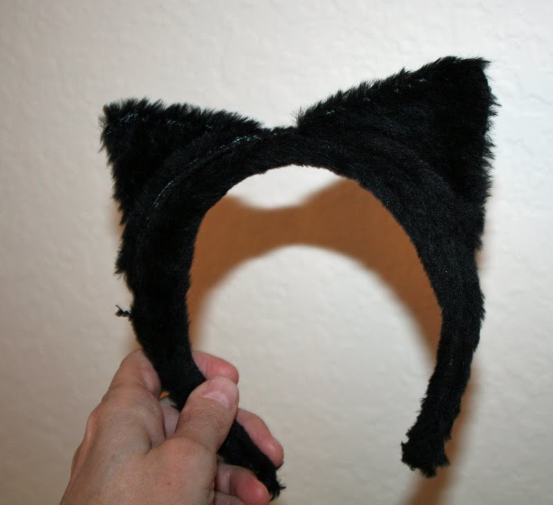 Daisy the Curly Cat: Cat EARS!!!!