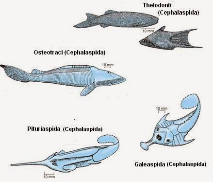 Ciencias de Joseleg: El Ordovícico