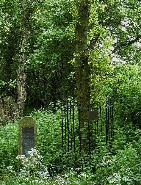 Tracey-anne's Blog: The Trysting Tree ~ Folklore