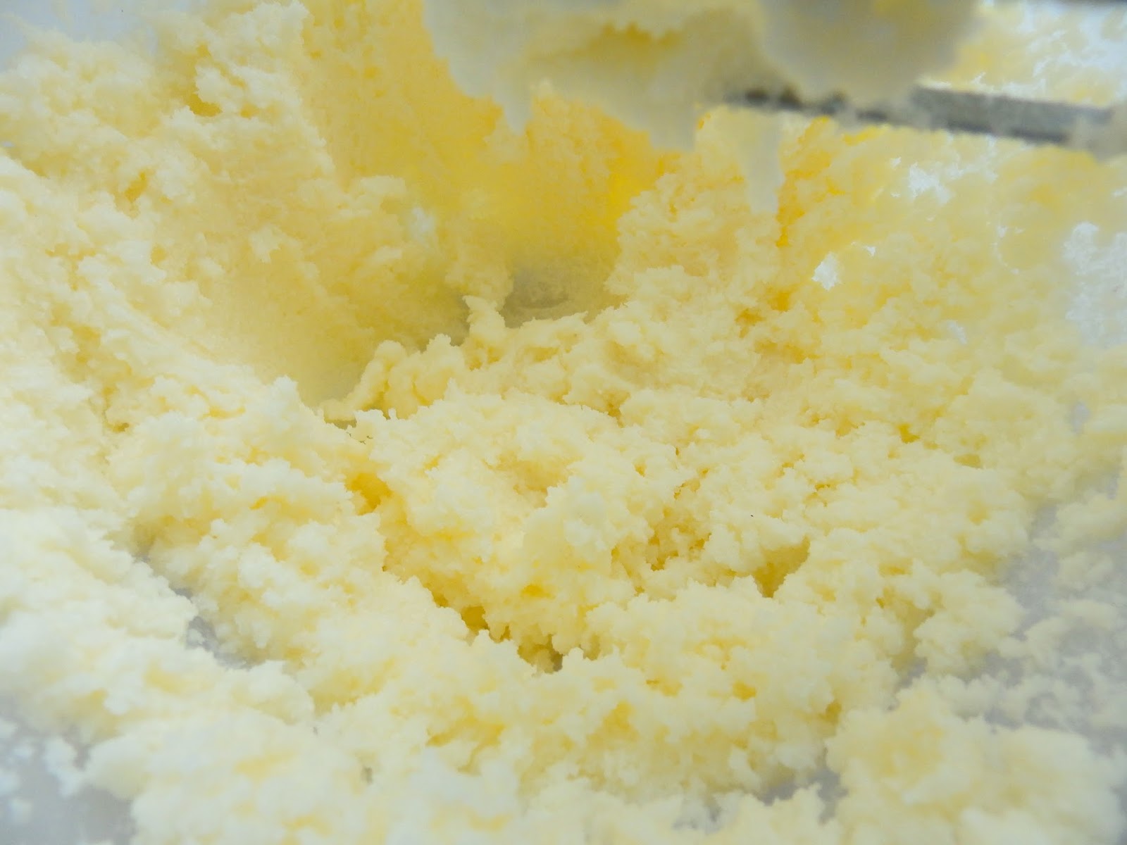 Bescuit de xocolata intensa